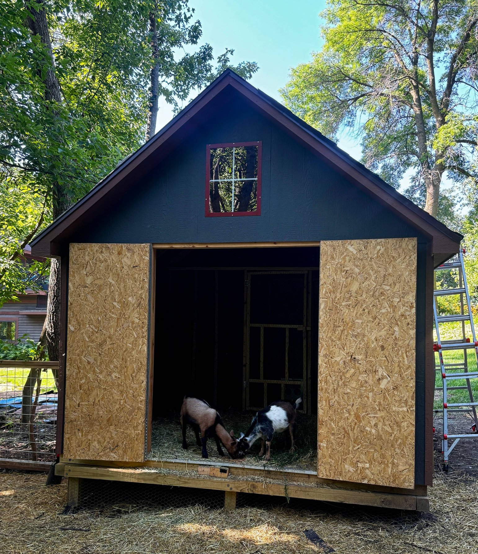 Wise Money: The Shed, the Goats, and the $2,000 Lesson — Quarry Hill Advisors